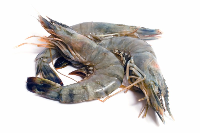 Ini Tip Bantu Korang Bersih & Masak Udang Dengan Cara Paling Senang. - RASA